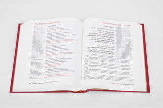 Siddur Lev Shalem for Shabbat & Festivals (Large Print) – The ...